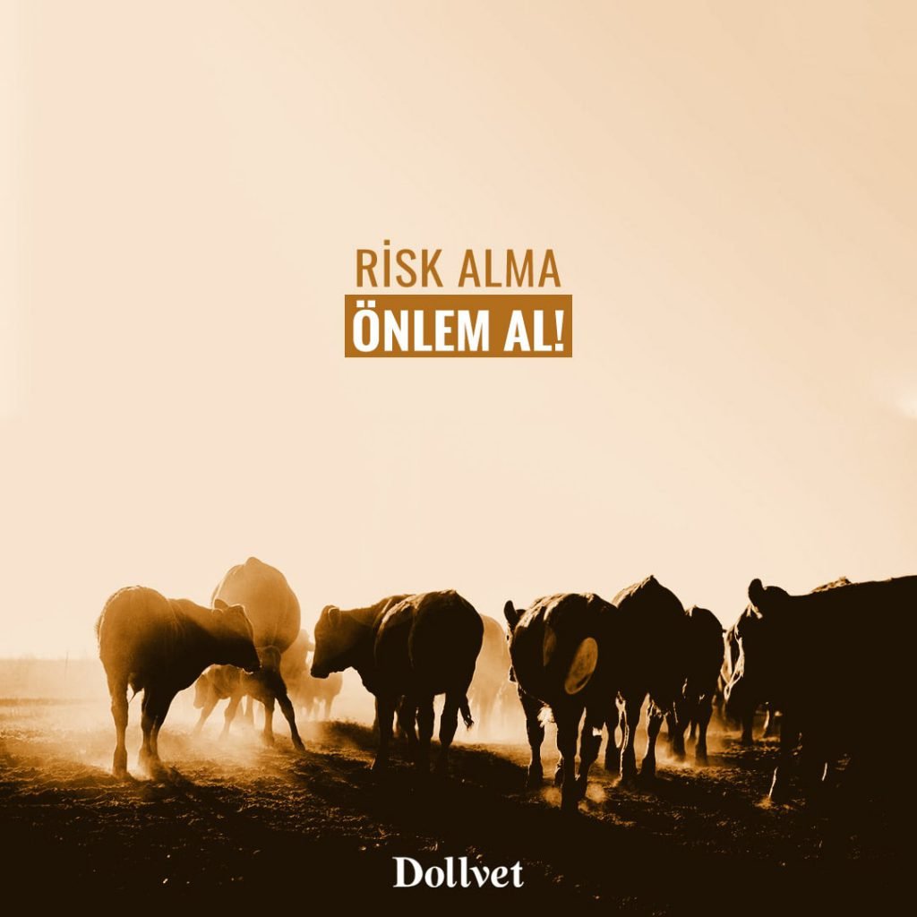 Sürülerinizin Gizli Düşmanı Botulismus - Dollvet Biyoteknoloji